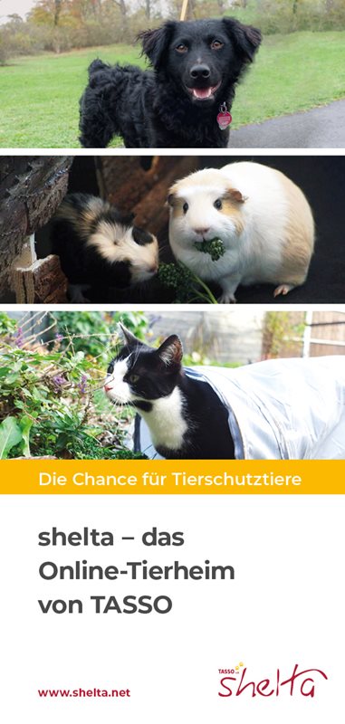 shelta-Flyer | TASSO